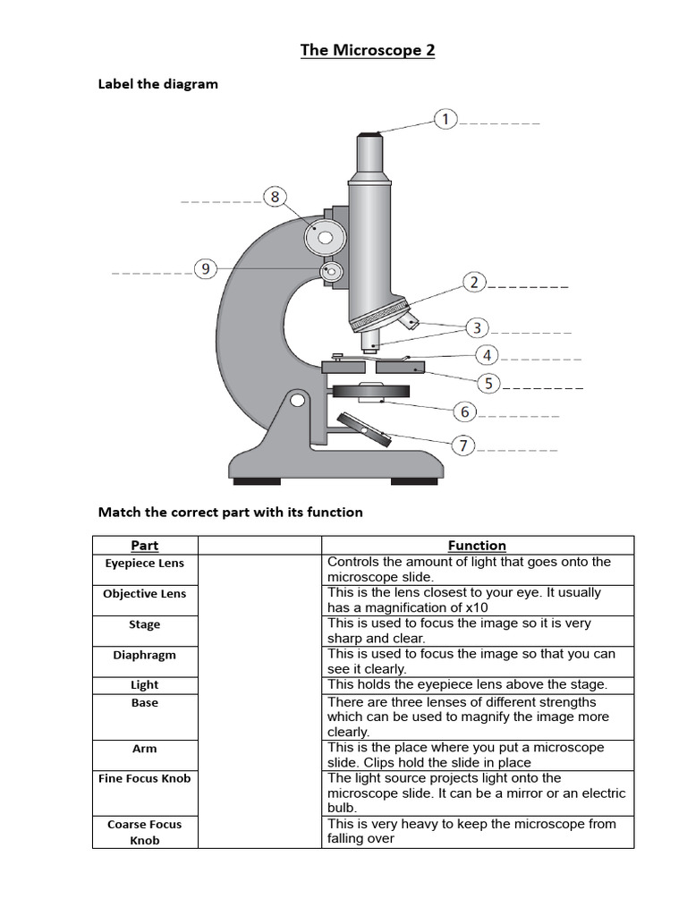 YR7 B1 Lesson 2 Microscopes Worksheet | PDF
