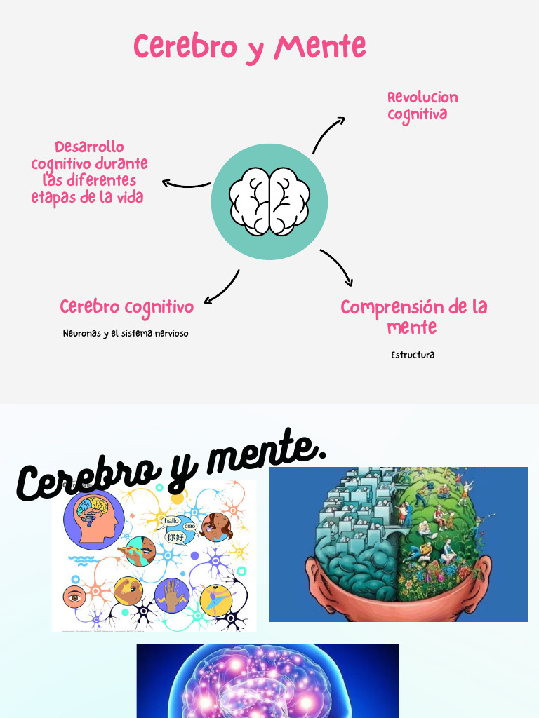 Gráfico Mapa Conceptual Ideas Cerebro Orgánico Turquesa y Rosa (1).pdf (2) | PDF | Mente | Cerebro