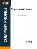 Comprehensive Company Profile Template | PDF