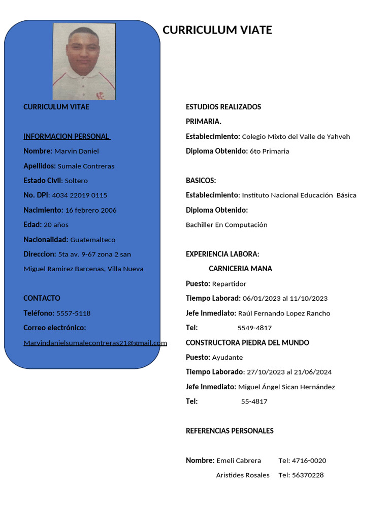 Curriculum Viate | PDF