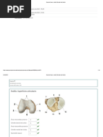 Maniobras de Bostezo en la Rodilla | PDF | Rodilla | Anatomía del ...