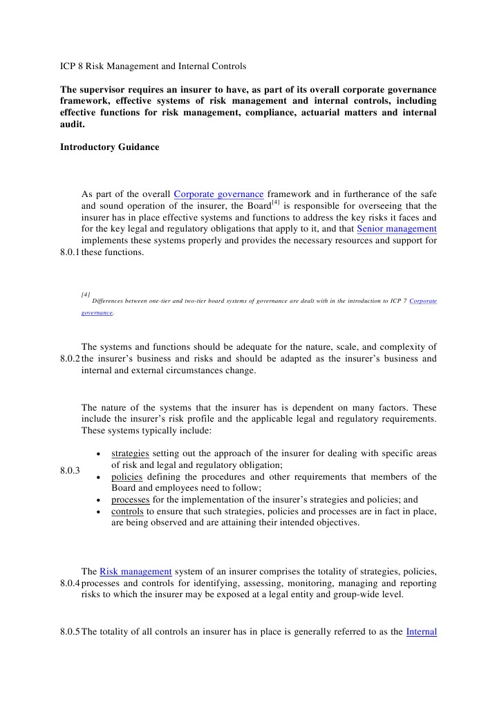 ICP 8 Risk Management and Internal Controls | PDF | Internal Audit | Audit