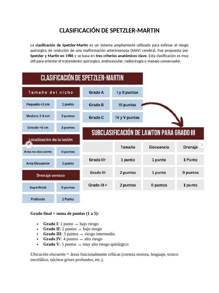 Clasificación de Spetzler | PDF