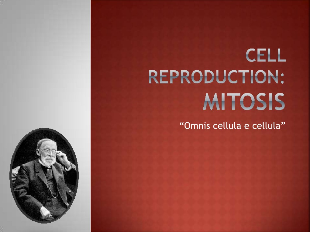 Omnis Cellula e Cellula | PDF
