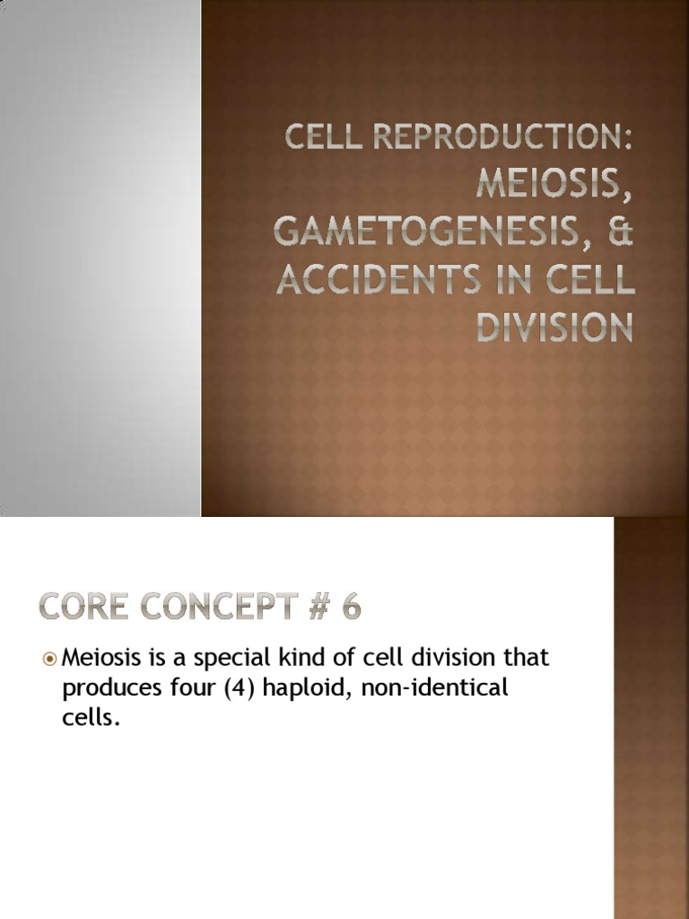 Meiosis, Gametogenesis, & Errors in Cell Division | PDF | Social ...