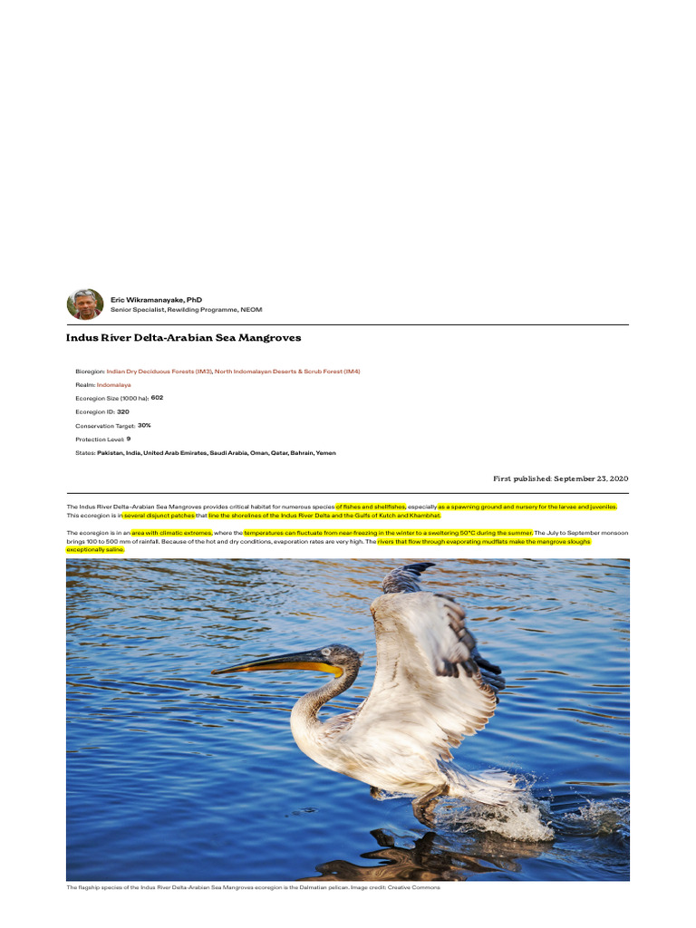 5 Indus River Delta-Arabian Sea Mangroves - One Earth | PDF | Mangrove ...