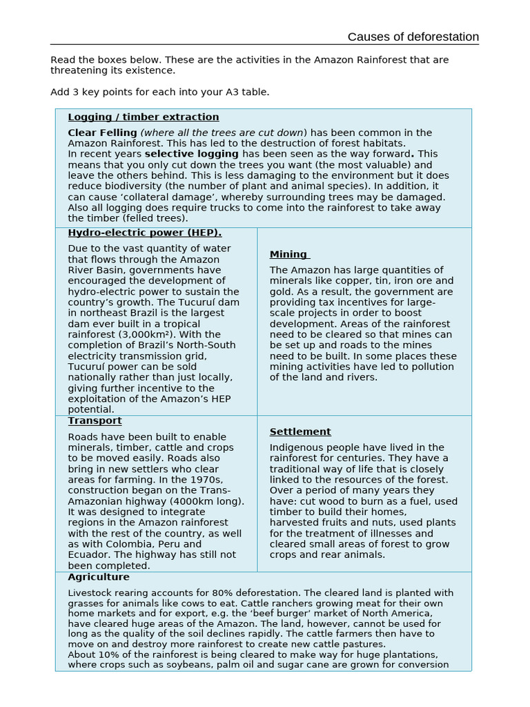 Causes of Deforestation in The Amazon Rainforest - Information Sheet ...