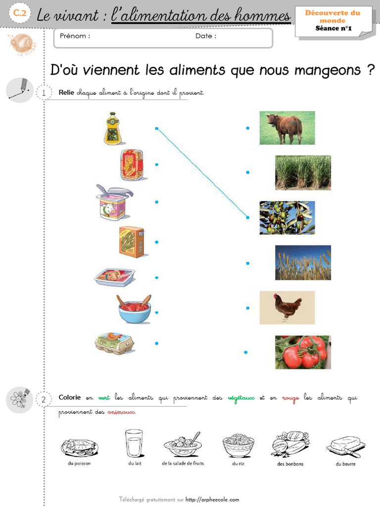 Aliments 2 | PDF