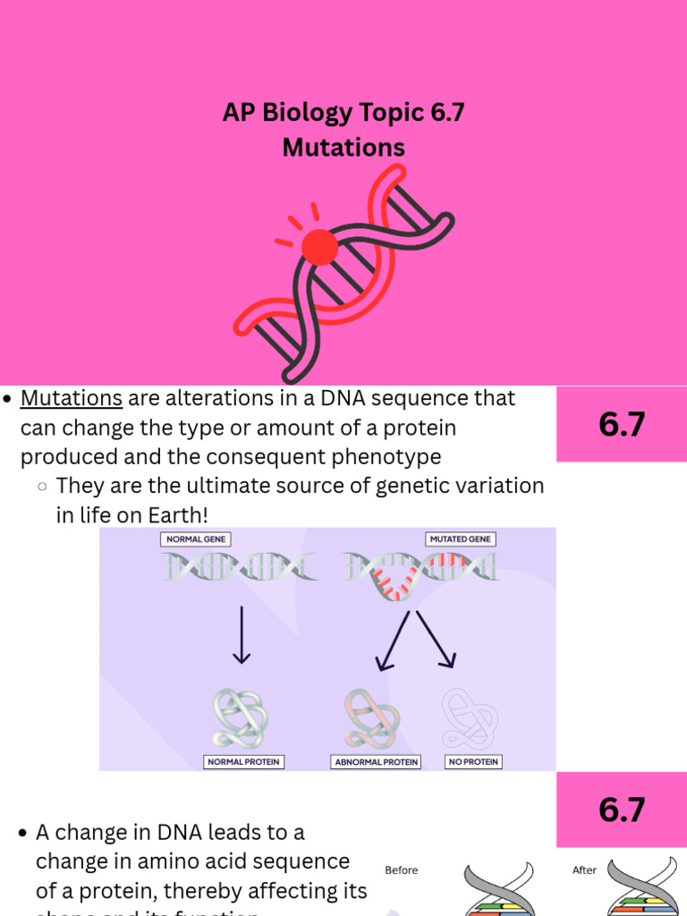 AP Biology Topic 6.7 Mutations | PDF