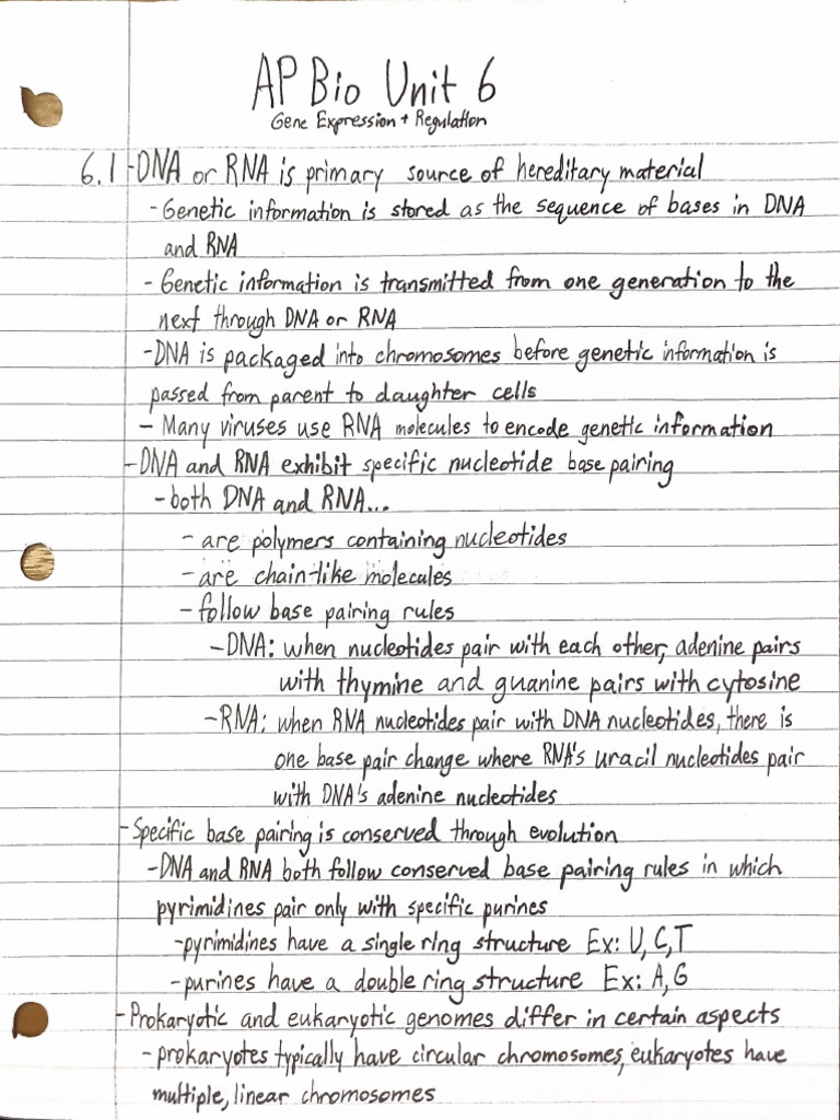 AP Bio Unit 6 Notes Scan | PDF