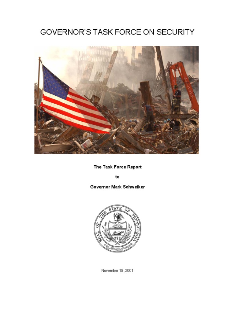 Task Force Homeland Security Report | PDF