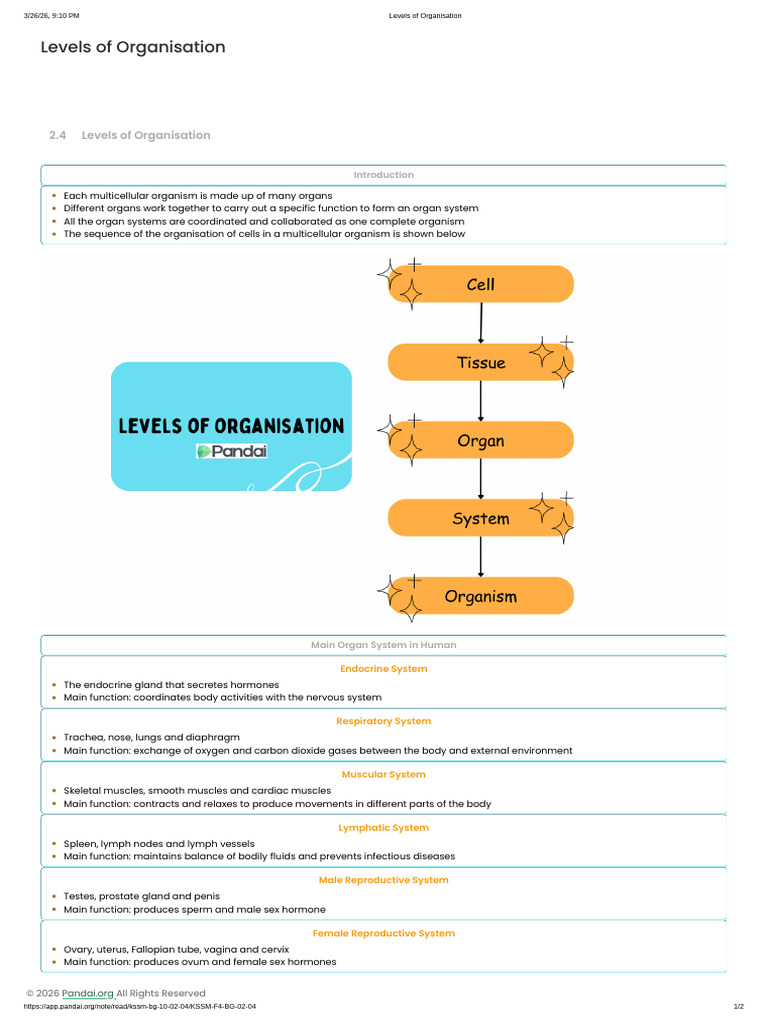 Levels of Organisation | PDF