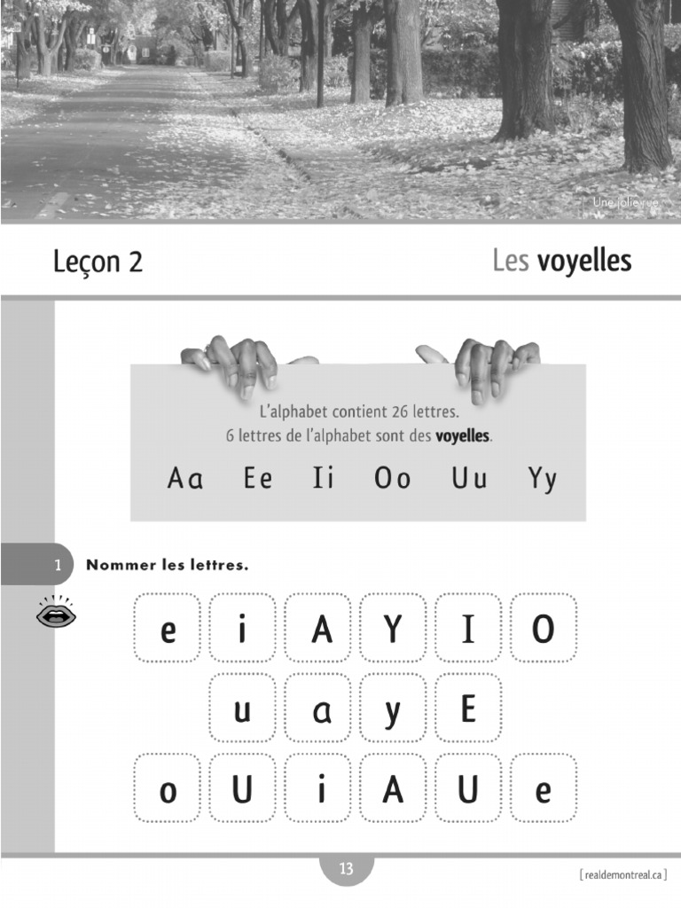 1lecon2 - Les Voyelles | PDF