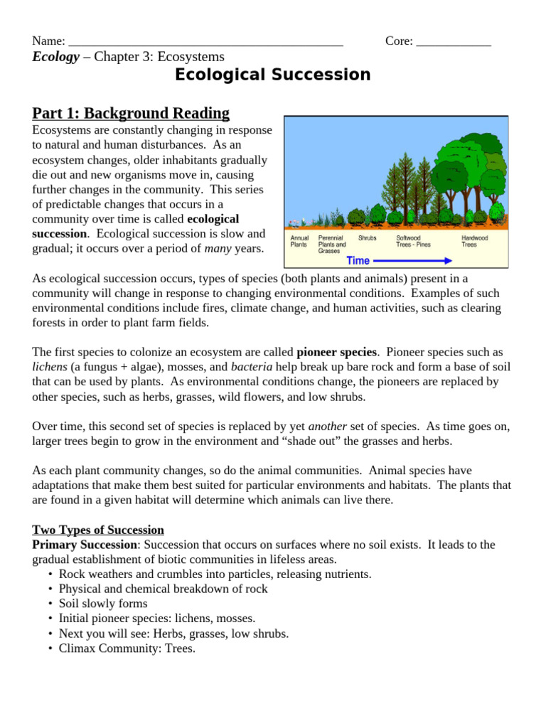 E - 3 - Ecological Succession Packet | PDF | Ecosystem | Habitat