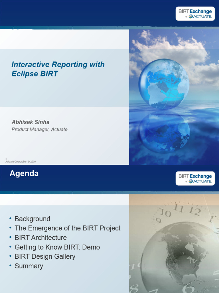Interactive Reporting BIRT | PDF