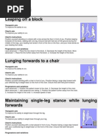 Otago Exercise Program | PDF | Diseases And Disorders | Medical Specialties