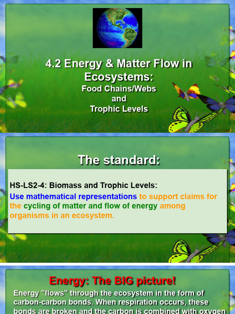 Science 10 - Unit 4.2 - Energy & Matter Flow in Ecosystems (2024) | PDF