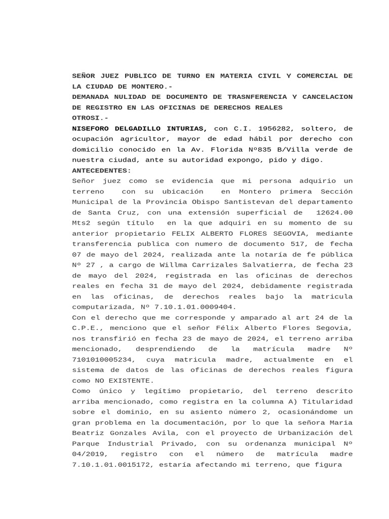 Demanda Nulidad de Contrato Niseforo Delgadillo 1 | PDF