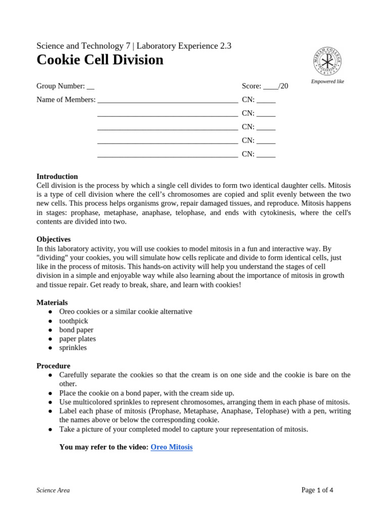 Science 7 Lab Activity Worksheet 2.3 Cookie Cell Division | PDF