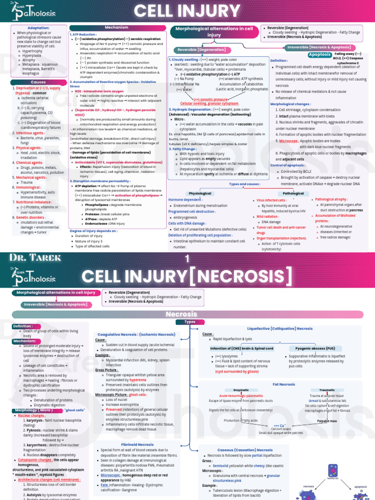 Cell Injury Mind Maps | PDF
