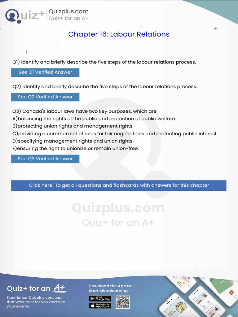 Identify and Briefly Describe The Five Steps of The Labour Relations ...