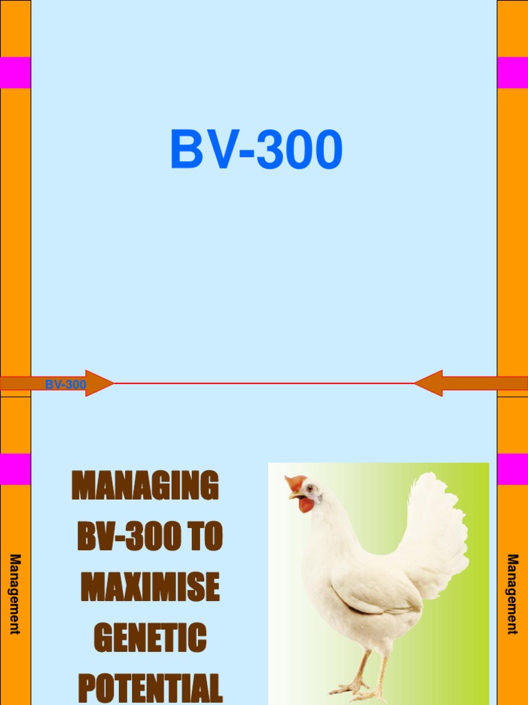 BV 300 Management | PDF | Beak | Agriculture