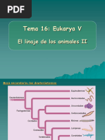 Características de los Sarcopterigios | PDF | Pescado | Vertebrados ...
