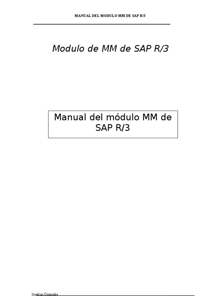 Manual MM | PDF | Negocios | Informática
