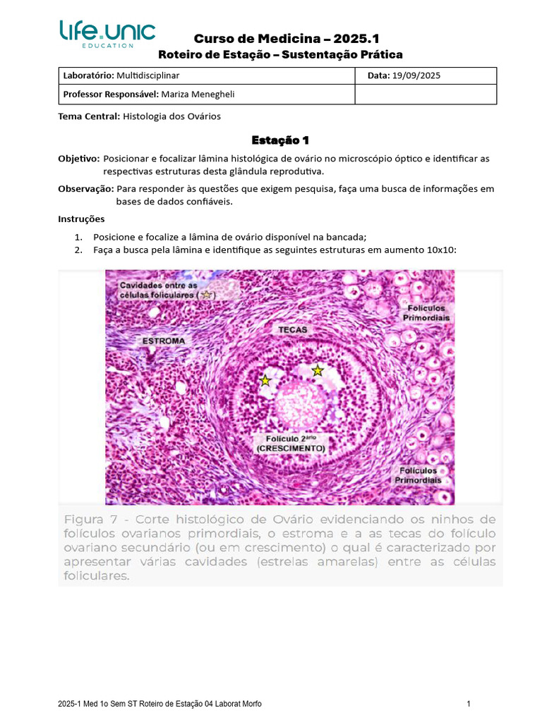 2025-1 Med 1o Sem ST Roteiro de Estação 04 Laborat Morfo | PDF