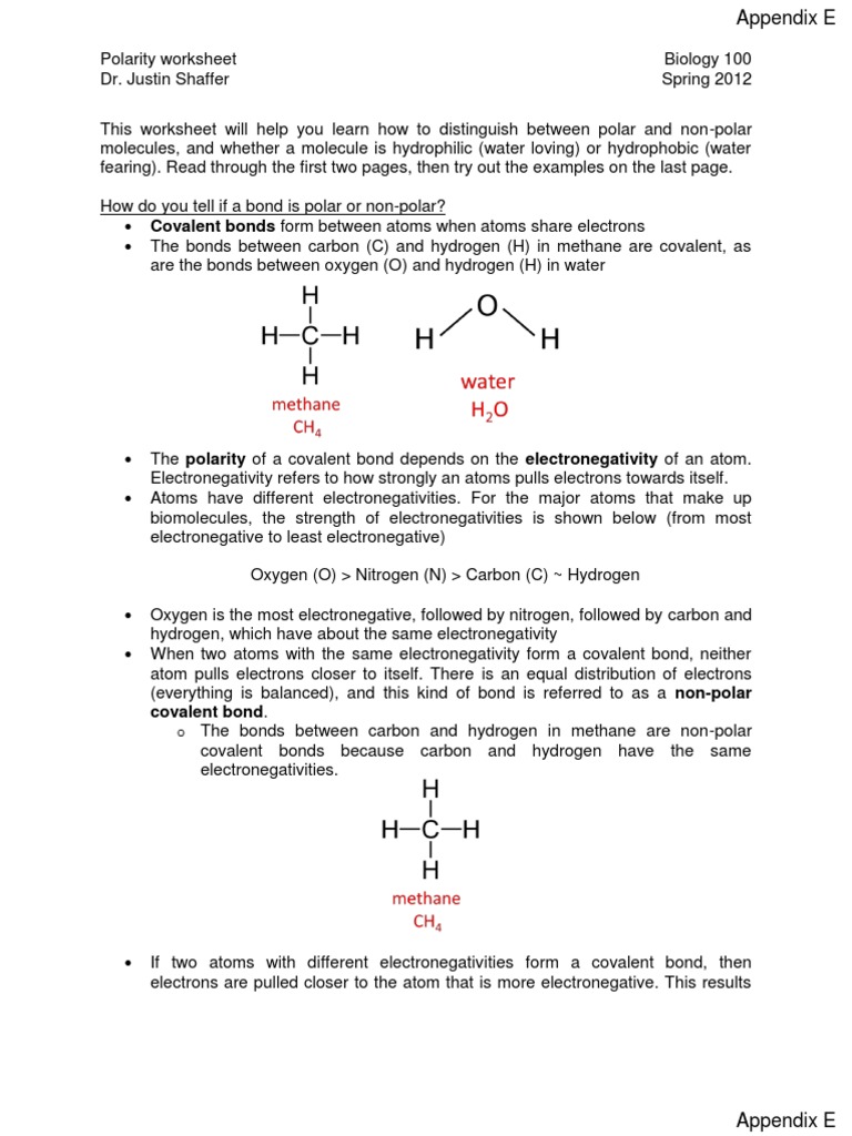 Polarity and Molecule Properties Guide | PDF | Chemical Polarity ...