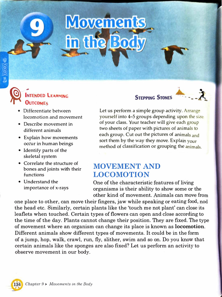 Biology Notes | PDF | Skeleton | Ecosystem