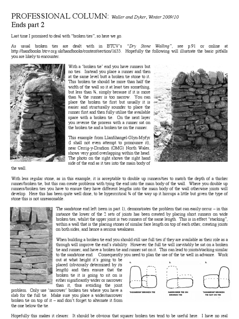 Professional Column Wall Ends Part 2 | PDF | Nature