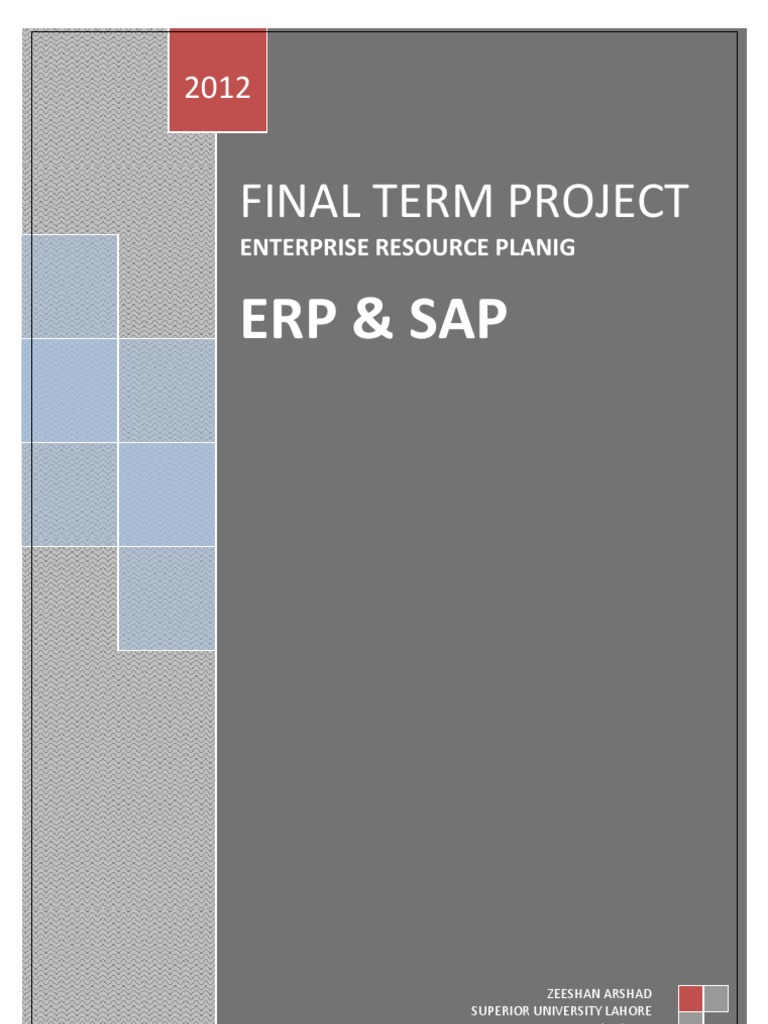 Final Erp Project-26dec | PDF | Enterprise Resource Planning | Pepsi Co