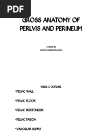 Pelvic Peritoneum and Fascia Anatomy | PDF | Pelvis | Peritoneum