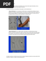 Signos y maniobras en ortopedia | PDF | Rodilla | Tobillo