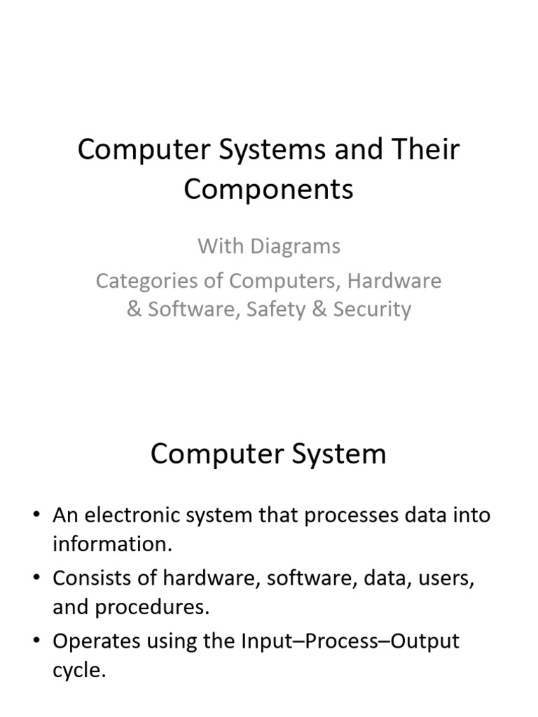 Computer Systems With Diagrams | PDF