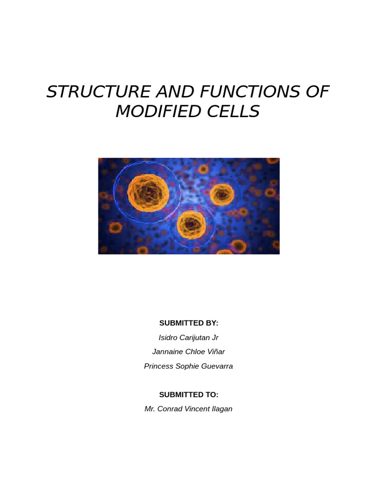 Structure and Functions of Modified Cells | PDF | Cell (Biology) | Leaf