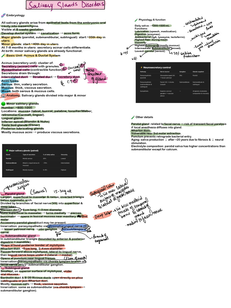 Salivary Glands OMFS Notes | PDF | Human Anatomy | Animal Anatomy