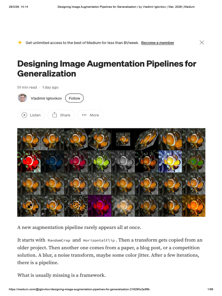 Designing Image Augmentation Pipelines For Generalization - by Vladimir ...
