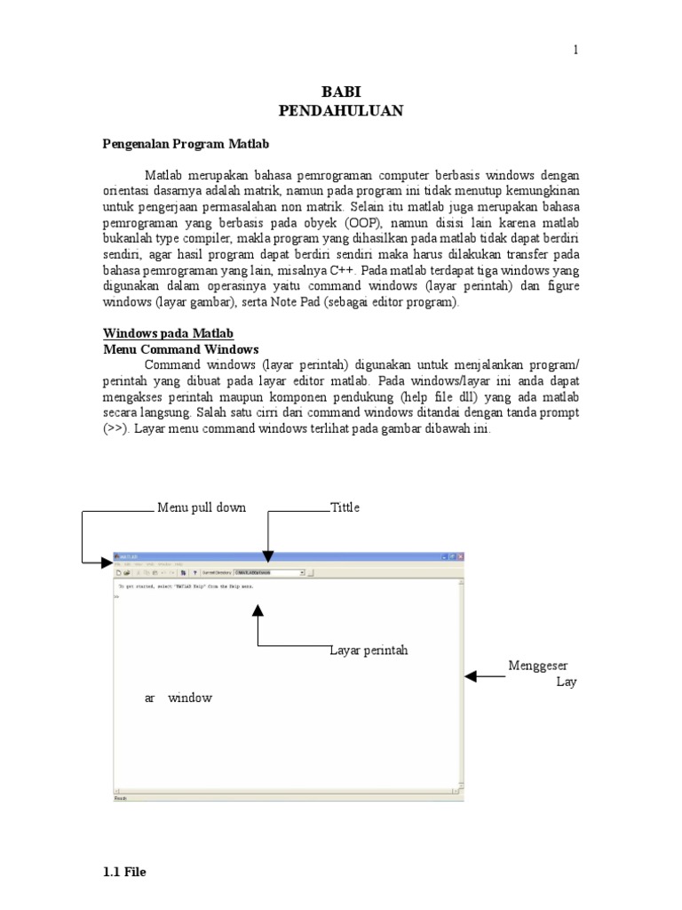 Panduan Dasar Matlab: Array & Operasi | PDF