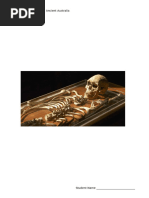 Narrabeen Man Case Study | PDF | Mummy | Artifact (Archaeology)
