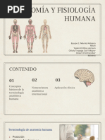 Términos de Lateralidad en Anatomía | PDF | Términos anatómicos de ...