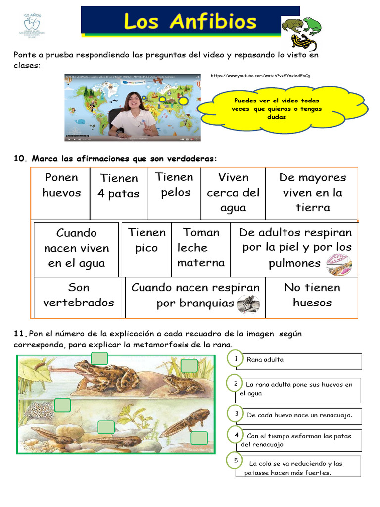 Anfibios | PDF