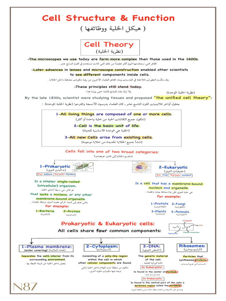 Structure & Function of The Cell | PDF