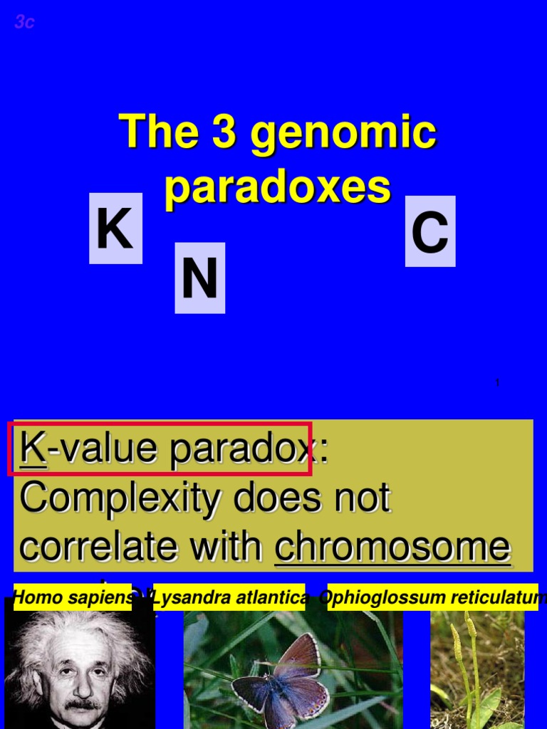 8c C-Value Paradox | Genome | Gene Duplication