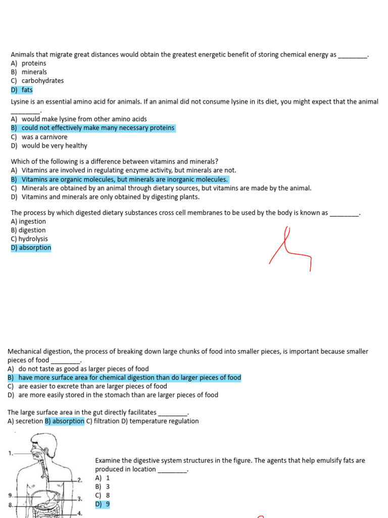Quiz Digestive System Diperiksa | PDF | Digestion | Stomach