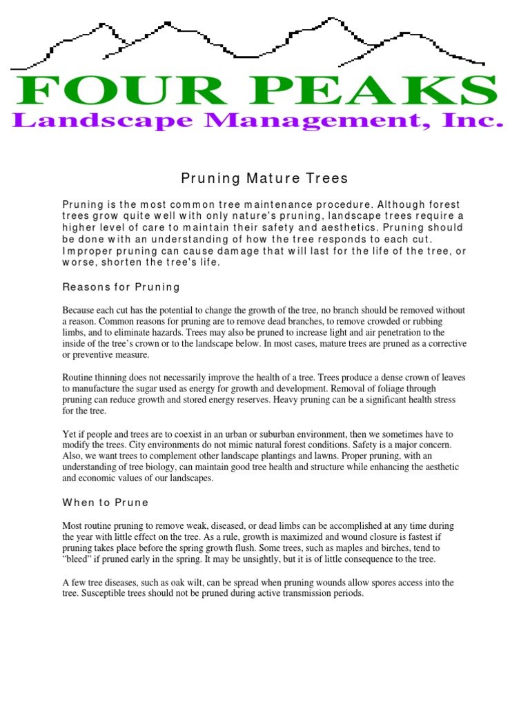 Pruning Mature Trees | Download Free PDF | Pruning | Trees