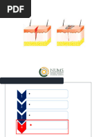 First vs. Second Intention Healing | PDF | Wound Healing | Scar