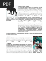 Leyenda de Chasca, la Virgen del Agua | PDF