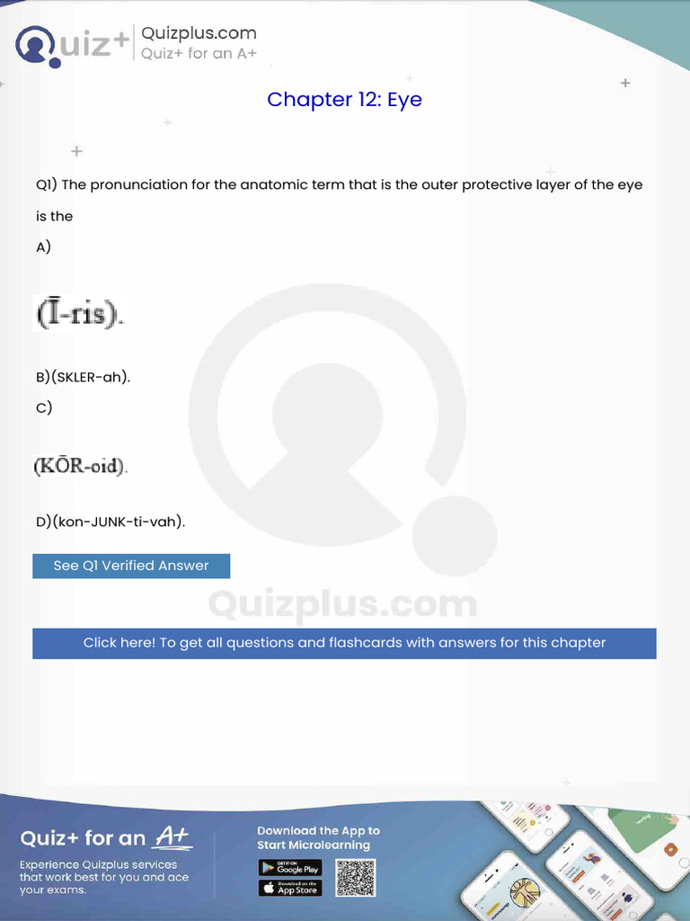 The Pronunciation for the Anatomic Term That is the Outer Protective ...